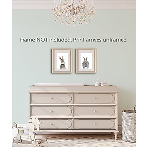 Designs by Maria Inc. Baby Nursery Wall Decor Art - Set of 2 (UNFRAMED) Wall Artwork 8x10 Baby Bunny Front and Back Photographic Print