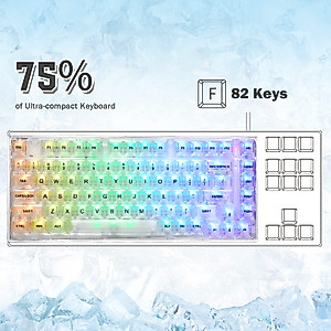ATTACK SHARK X75 PRO PC Transparent Wireless Hot Swappable Mechanical Keyboard with 2.4G/Bluetooth/Wired Coiled Cable,Acrylic Wirst Rest,Gasket Mounted,for Windows/Mac(Kailh MX Switches)