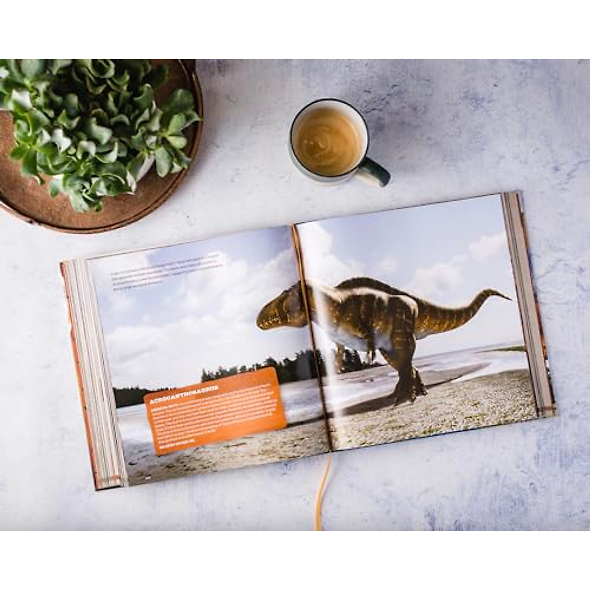 Dinosaur World: Over 1,200 Amazing Dinosaurs, Famous Fossils, and the Latest Discoveries from the Prehistoric Era (Explore The Mesozoic Era with Over 1,200 Dinosaur Species)