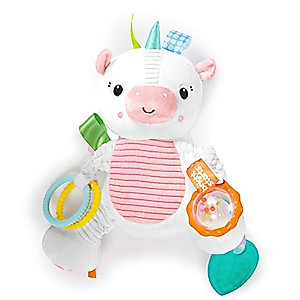 Bright Starts Bunch-O-Fun Plush Activity Toy - Unicorn, Ages 3 Months +