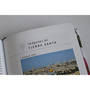 Biblia RVR 1960 letra grande. Tapa dura tela azul púrpura con flores tamaño manu al / Bible RVR 1960 Handy Size Hardcover Cloth with Purple Blue Flowers