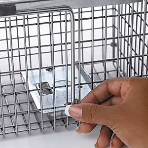 Havahart 0745 Extra Small 1-Door Humane Catch and Release Live Animal Trap for Squirrels, Chipmunks, Rats, Weasels, and Small Animals