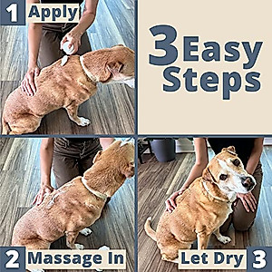 Paw Choice Dry Shampoo for Dogs - Waterless Dog Shampoo, No Rinse Foam Mousse - Removes Odor, Cleans, and Conditions - Hypoallergenic & Natural Dry Dog Shampoo - Made in USA, Lavender Chamomile Scent