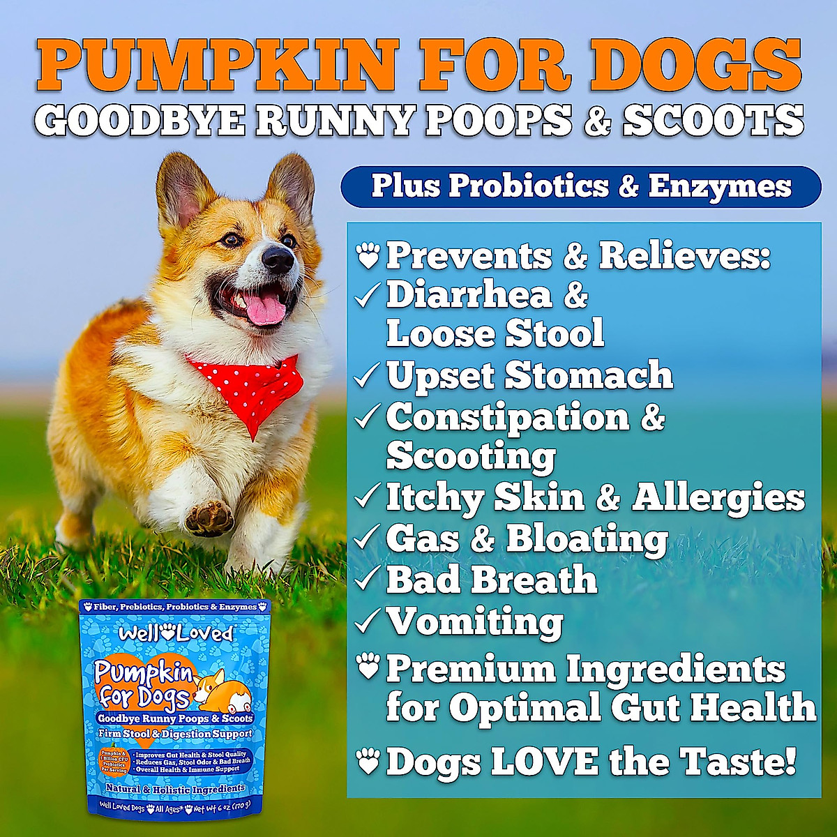 Well Loved Pumpkin for Dogs - Pumpkin Puree, Canned Pumpkin (Alternative), Fiber for Dogs, Probiotic Powder, Pumpkin Powder, Dog Diarrhea, Digestive Support, Perfect for Firm Poops and No Scoots, 6 oz