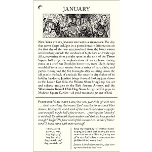 An Almanac of New York City for the Year 2023