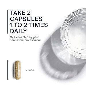 Vital Nutrients - Echinacea Extract - Immune System Support - 60 Vegetarian Capsules per Bottle - 1000 mg