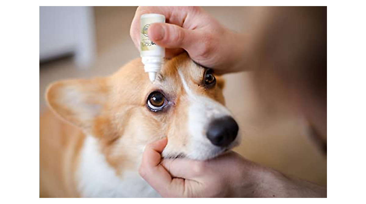 LumenPro Pet Eye Drops for Cataracts - Support Vision in Dogs & Pets