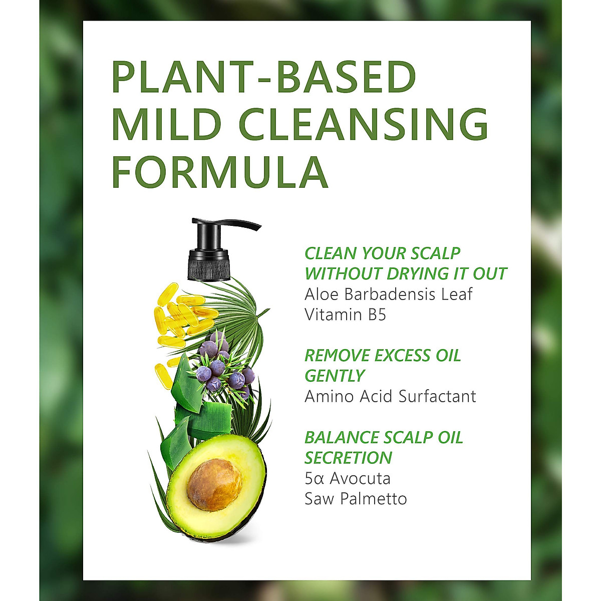 Aromase 5α Intensive Oily Hair Solution Kit (5α Juniper Scalp Purifying Liquid Shampoo 2.8 Fl Oz + 5α Intensive Oily Hair Balancing Essential Shampoo 14 Fl. Oz) for Oily Scalp, Oil Smells