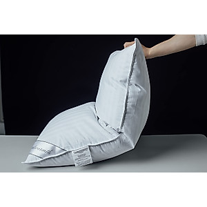 Eastwarmth Goose Feather Blend with Polyester Bed Pillows 100% Cotton, Medium Soft Soft Support Standard Pack of 1, Stripe White