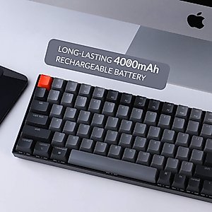 Keychron K4 96% Layout 100 Keys Wireless Bluetooth 5.1/Wired USB Mechanical Gaming Keyboard with Gateron G Pro Brown Switch RGB Backlight N-Key Rollover for Mac Windows PC-Version 2