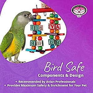 Super Bird Creations SB448 Katy's ABC Jr. Bird Toy, Medium Bird Size, 7" x 5" x 1.5"