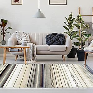 SUPERIOR Area Rugs for Bedroom, Farmhouse, Kitchen, Entryway, Laundry Room | Living Room Decor | Delgado Collection, 4' x 6', Beige