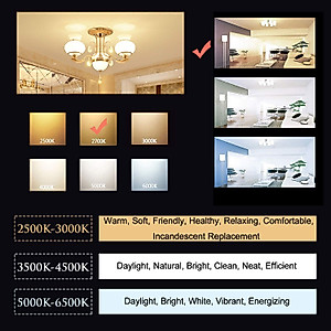 OMAYKEY 2W LED Tubular Bulb 25W Equivalent 250 Lumen, 2700K Warm White E26 Base, Antique Edison T45 Tube Clear Glass Dimmable LED Filament Bulbs, Chandelier Decorative Ceiling Fan Light Bulbs, 8 Pack