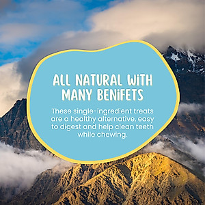 hotspot pets Braided Bully Stick Rings for Dogs - (3 Pack) Premium All Natural Long Twisted Beef Pizzle Dog Chew Treats - Grain Free Fully Digestible Rawhide Alternative Bones