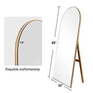 CASSILANDO Full Length Mirror 65"×22" Floor Mirror, Standing Mirror Smooth Arched Top Mirror, Large Arched Mirror, Bedroom Living Room Wall Mirror
