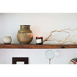 Paddywax Library Collection William Shakespeare Scented Soy Wax Candle, 6.5-Ounce, Paprus, Palm & Eucalyptus