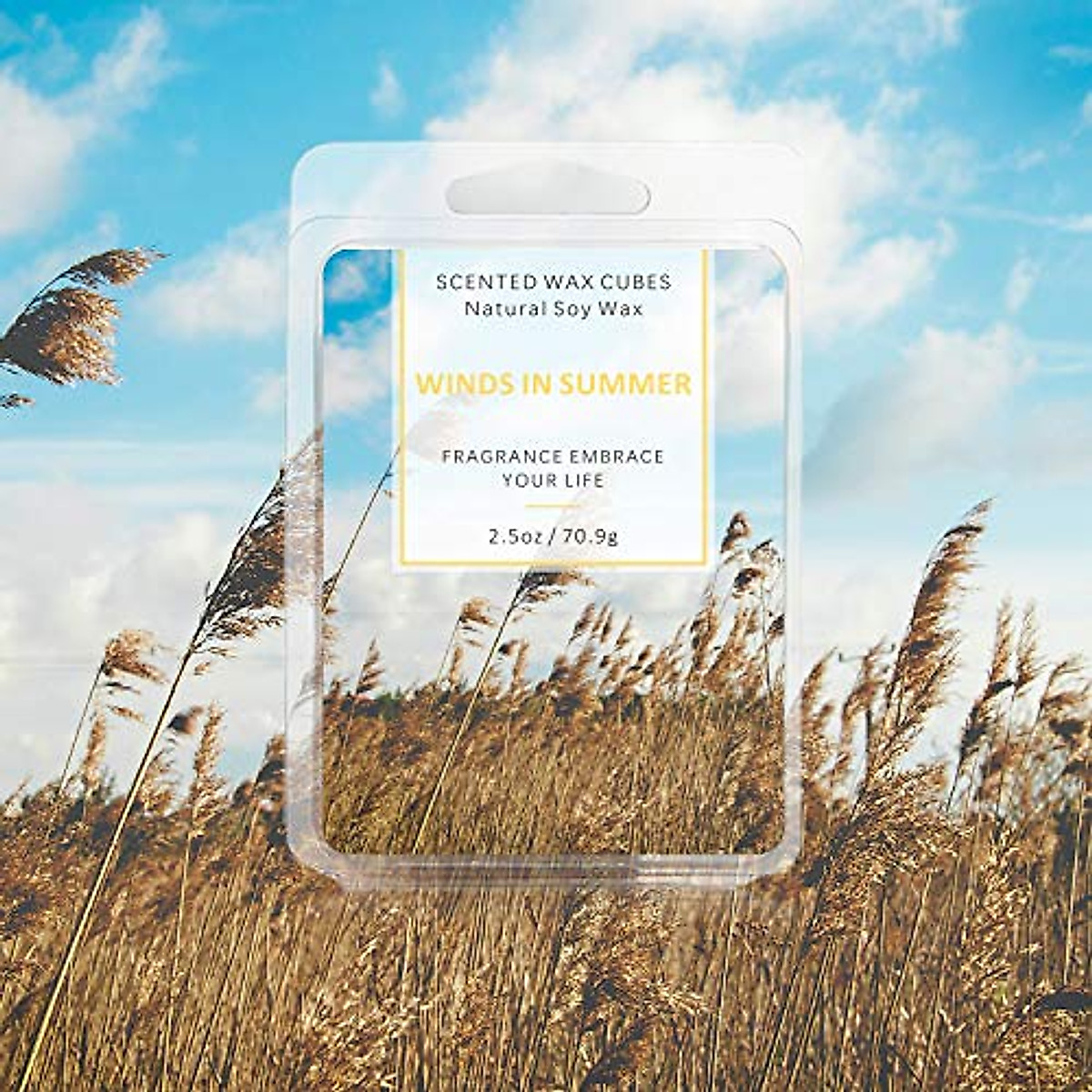 SCENTORINI Wax Melts, Wax Cubes, Soy Wax Cubes for Wax Warmer, Ocean Breeze, Fresh Linen, Bohemia Forest, Winds in Summer, 4 x 2.5oz