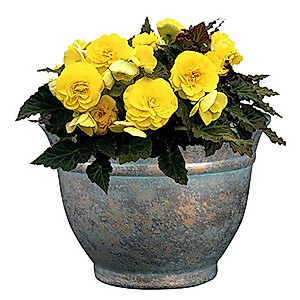 Classic Home & Garden 10509D 377R 9" Alena Planter, Weathered Copper