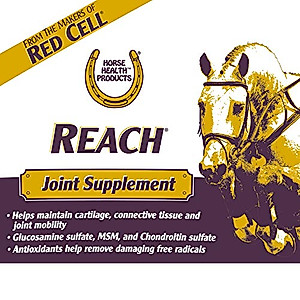 Horse Health Reach Joint Pellets 2.81 Pounds