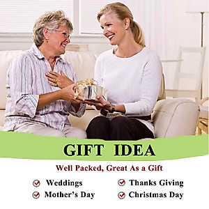 DRAGON RIOT Chef Knife 8 Inch Professional Kitchen Knives High Carbon Steel Japanese Chef's Knife Meat and Vegetable Cooking Knife for Home Restaurant