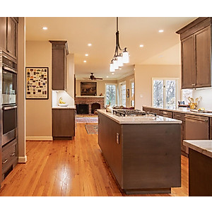 Vannise PAR30 Halogen Bulb 75W 120V, 6 Pack High Output 1000LM PAR30 Long Neck Halogen 75W with Warm White 2800K, PAR30 Dimmable, Long Lasting PAR30 Flood Light Bulb with E26 Medium Base