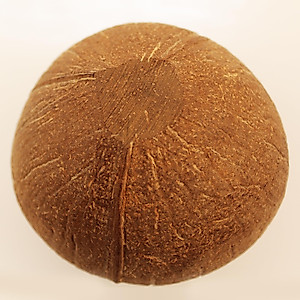 Tropical Coconut Candle with Wooden Wick - Coconut Scented Coconut Shell Candle Made with Real Hollow Coconut Shells - Great Beach Scented Candle Coconut and Relaxing Bath Decor (Coconut Scent)