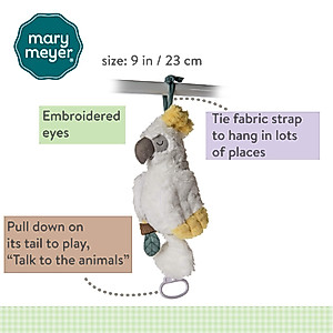 Mary Meyer Musical Pull Toy, 9"