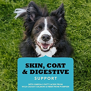 ACANA Chewy Strips Dog Treats, Salmon, High Protein Dog Treats, 4oz