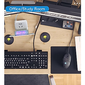 Flying Insect Trap, Fruit Fly Traps for Indoors, Plug in Gnat Traps for House Indoor Safe Non-Toxic UV Light Attractant Insect Traps Indoor with 10 Sticky Pad for Flies, Gnats, Moths, Mosquitoes