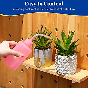 Dandat 24 Pcs Tattoo Squeeze Bottle, 250 ml/ 8.5 oz Lab Wash Bottle Colorful Plastic Safety Water Squirt Bottle Lash Rinse Cleaning Bottle Succulent Watering Irrigation Bottle for Indoor Plants