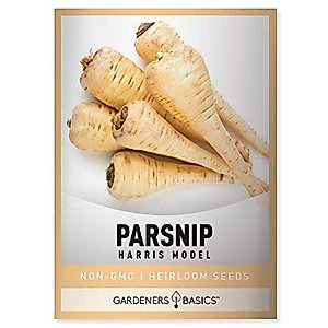 Parsnip Seeds for Planting - Harris Model Heirloom, Non-GMO Vegetable Variety- 1 Gram Approx 200 Seeds Great for Summer, Fall, and Winter Gardens by Gardeners Basics