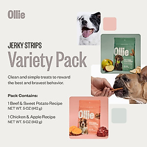 Ollie Belly Rubs Dog Probiotic Chews - Probiotics for Dogs and Ollie Jerky Treats Variety Pack - Chicken and Apple Recipe and Beef and Sweet Potato Recipe - Dog Jerky Treats