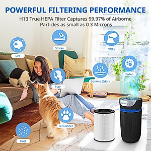 AP-T45 AP-T40FL AP-T43 H13 HEPA Replacement Filter Compatible with 1461901 Homedics 5 in 1 Total Clean Air Purifier 1461901 Replacement Filter, AP-T40, AP-T43, and AP-T45-WT, Costco 1461901