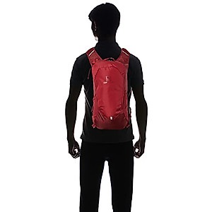 Salomon Trailblazer 10 Backpack, Chili Pepper/Red Dahlia/Ebony