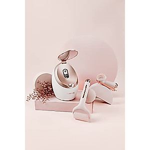 Finishing Touch Flawless Face Steamer