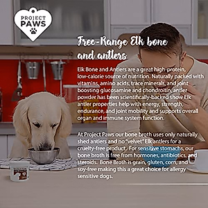 Bone Broth for Dogs with Powdered Elk Antler and Bone - Collagen and Mineral Rich Food Topper for Dogs - Whole Food Superfood Powder Multivitamin for Dogs - 4 oz