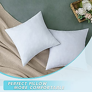 MIULEE Set of 2 Decorative Throw Pillow Covers Rhombic Jacquard Pillowcase Blend 18x18 Pillow Inserts Set of 2-Decorative Shredded Memory Foam Cooling Throw Pillows, Beige