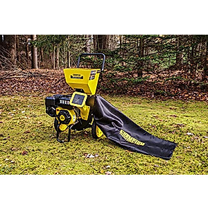 Champion Power Equipment 200905 3-Inch Portable Chipper-Shredder with Collection Bag
