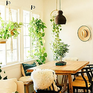 Ceiling Hooks for Hanging Plant, Hanger for Indoor and Outdoor Plant Pots Holder, Wall Hook for Planters, Flower Basket, Wind Chimes, Lanterns, Lights, Bird Feeders, Home Decor-2.5Inch 2Pack