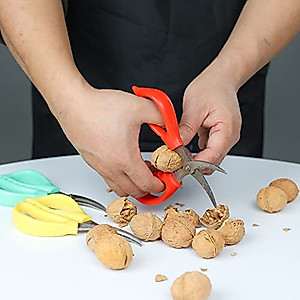 Multi-Function Kitchen Shears Seafood Scissors for Kitchen Seafood,Fish,Crab,Shrimp,Lobster,Vegetable picking,flower art etc