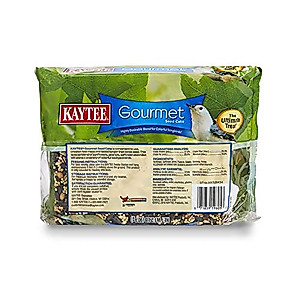 Kaytee Wild Bird Gourmet Seed Cake For Cardinals, Chickadees, Juncos, Titmice, Woodpeckers and More, 2 Pounds