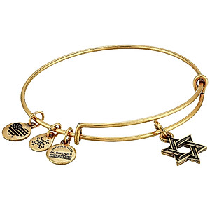 Alex and Ani Women's Star of David IV Bangle Bracelet, Rafaelian Gold, Expandable