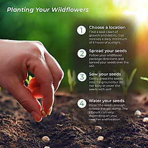 Created By Nature Texas Wildflower Seed Mix, Covers 325 Sq Ft, 17 Flower Varieties, Over 60,000 Seeds