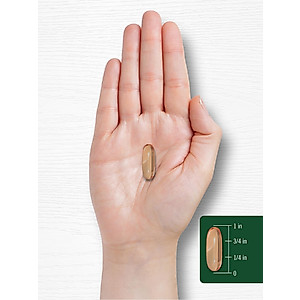 Carlyle Lecithin 2400mg | 240 Softgel Capsules | Phospholipid Supplement | Non-GMO, Gluten Free