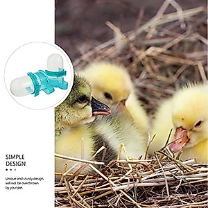 balacoo 2pcs Pigeon Water Feeders Pigeon Water Drinker Automatic Bird Pigeon Feeder Water Dispenser Waterer for Pet Bird Pigeon Parrots Cage Accessories