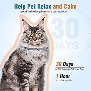 4 Packs Cat Calming Collar for Cats Pheromone Collar Efficient Relieve Reduce Anxiety Stress Pheromones Calm Relaxing Comfortable Collars Long-Lasting 30 Days Adjustable Breakaway Design Gray
