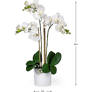 Serene Spaces Living 3 White Realistic Phalaenopsis Orchids in Pot, Artificial Potted Flowers - Beautiful Entryway Vase, Foyer Table Décor, Measures 26" Tall & 5" Diameter