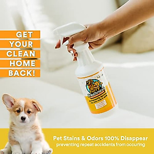 FurryFreshness Extra Strength Cat or Dog Pee Stain & Permanent Odor Remover + Smell Eliminator -Removes Stains from Pets & Kids Including Urine or Blood- Lifts Old Carpet Stains- 32oz Spray