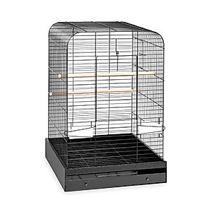 Prevue Hendryx 124BLK Pet Products Madison Bird Cage, Hammertone Black