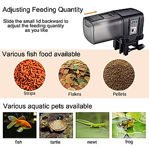 AquaBasik Wi-Fi Automatic Fish Feeder Aquarium Tank Food Dispenser Auto Vacation Timer Feeder Compatible with Alexa Google Home